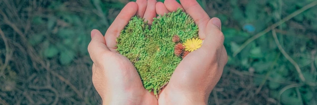 Environmental Benefits of Veganism - Vegan Pinay